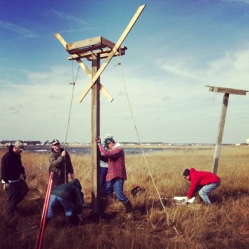 Nest Platform Designs – OSPREYWATCH